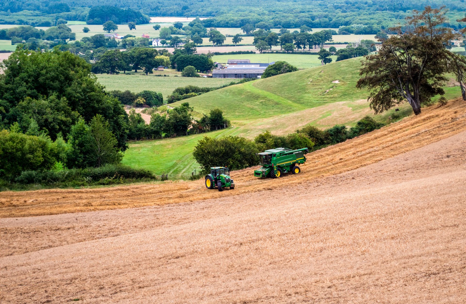 Natural Enterprise | Isle of Wight Economic Data