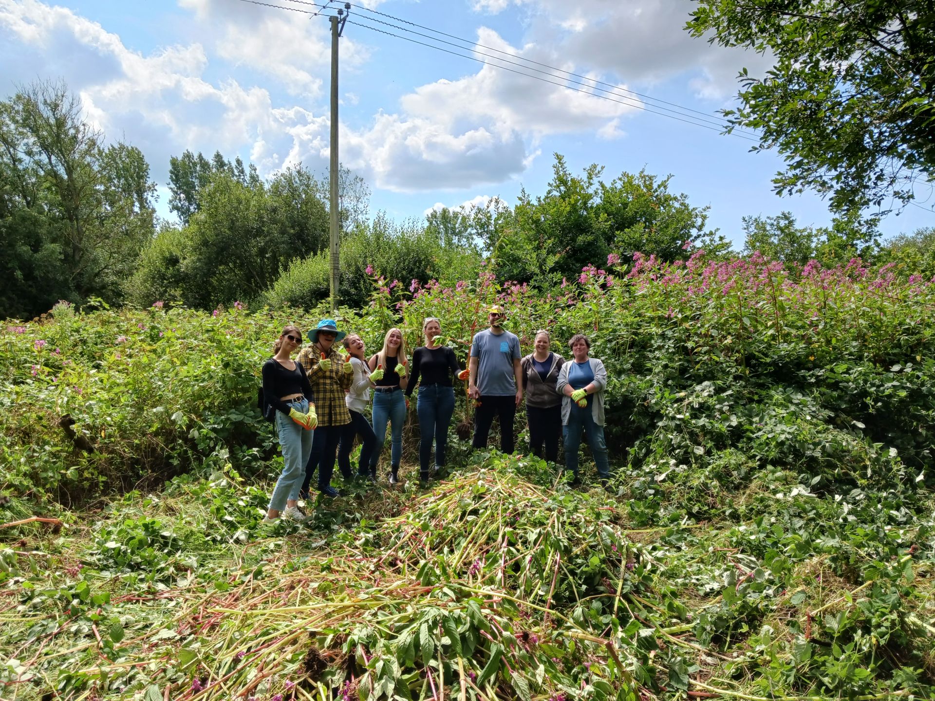 Natural Enterprise | Invasive Non-native Species