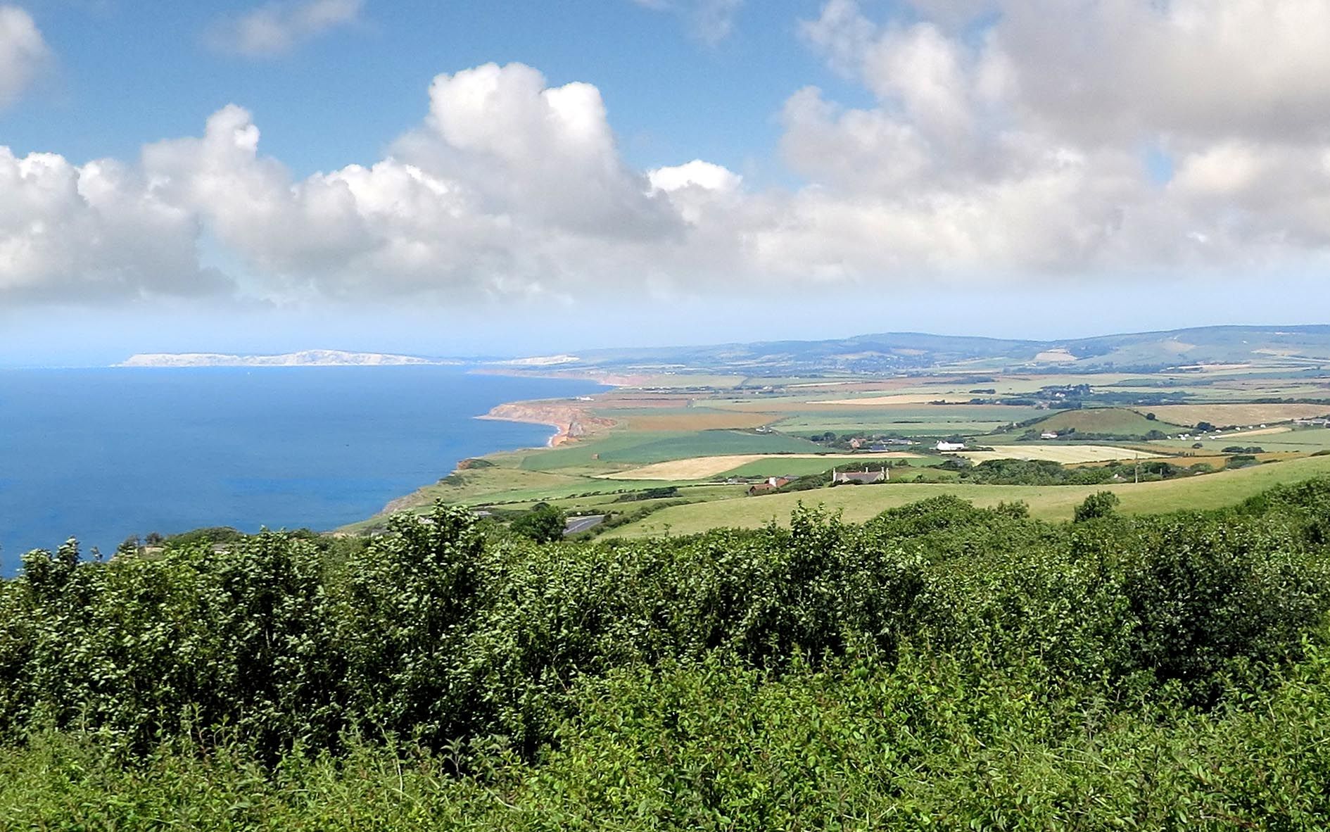 Natural Enterprise | Our Vision, Aims, Values and Strategic Priorities