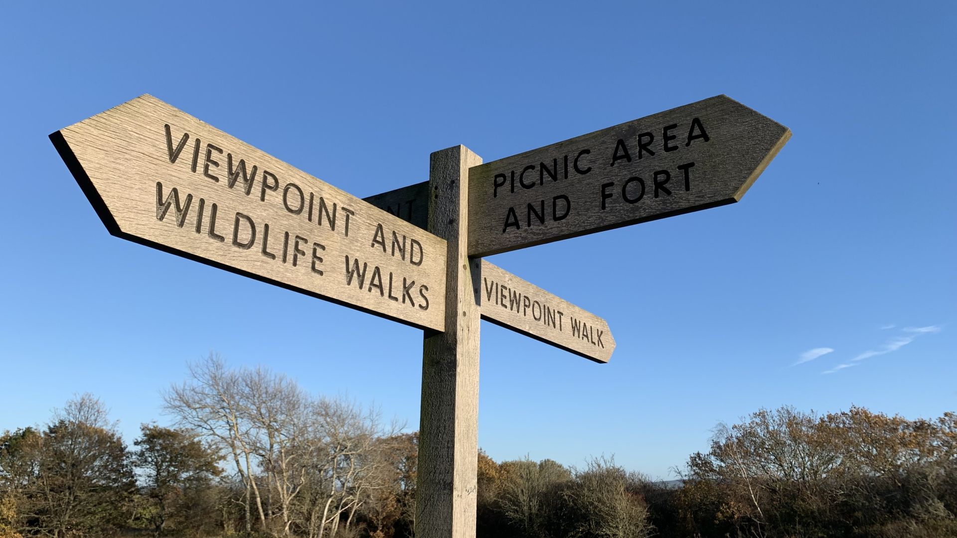 Natural Enterprise | What We Do