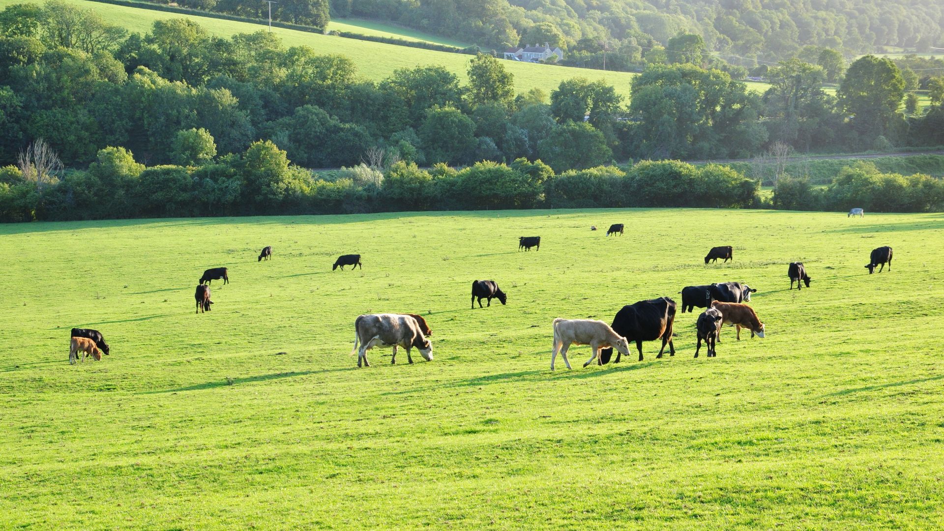 Natural Enterprise | Catchment Sensitive Farming on the Isle of Wight
